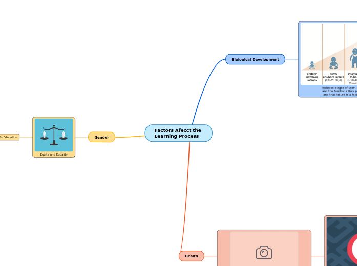 Factors Afecct the Learning Process - Mind Map
